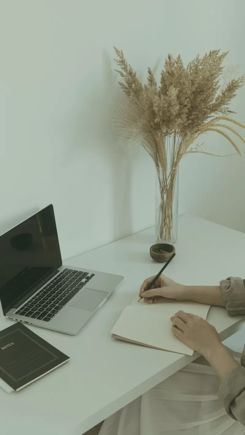 Writing & Translation | Wishtodo